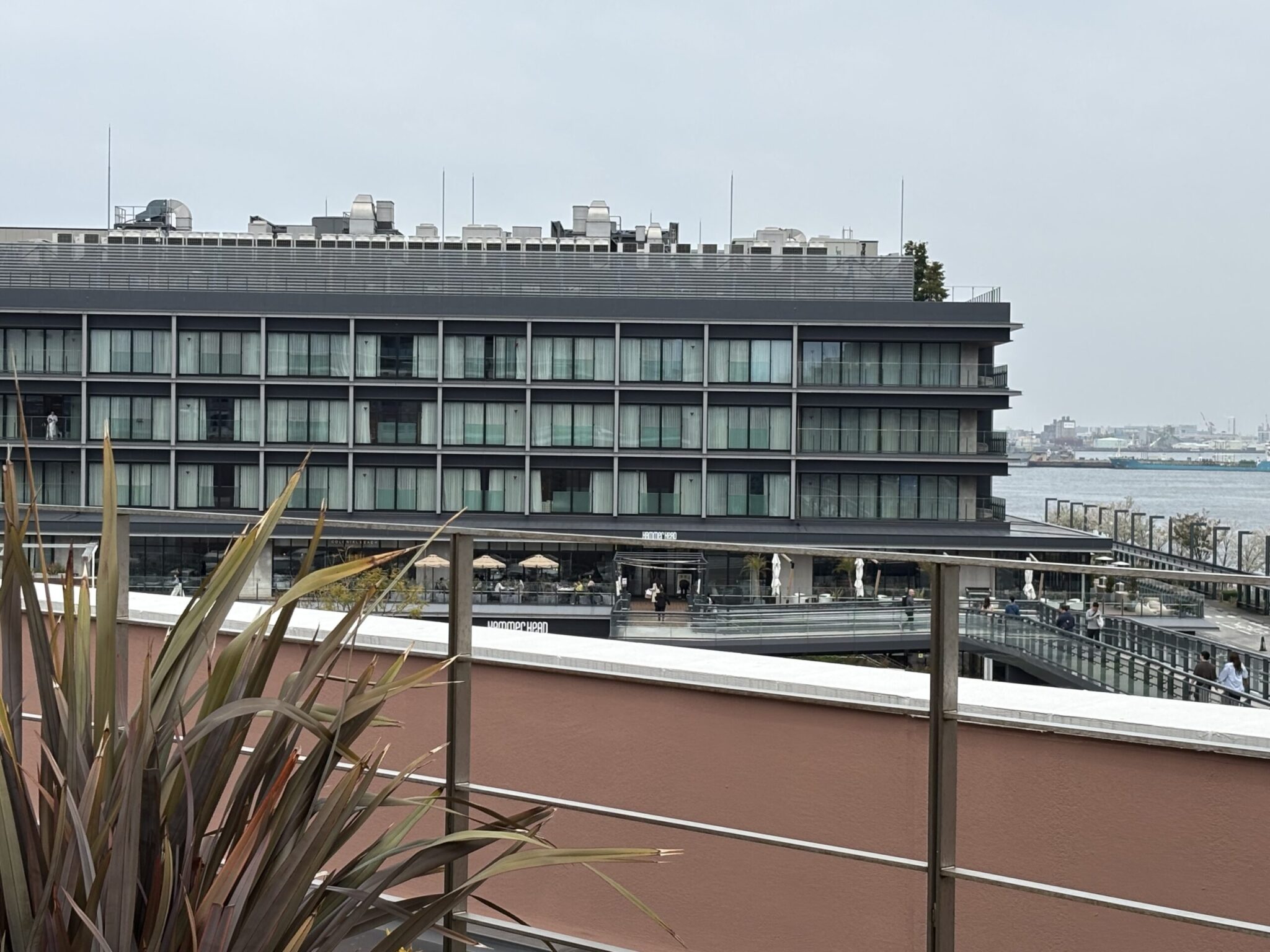 【2026年5月6月】横浜港 クルーズ船入港予定・撮影スポット完全ガイド - みなとみらいLIFEドットコム